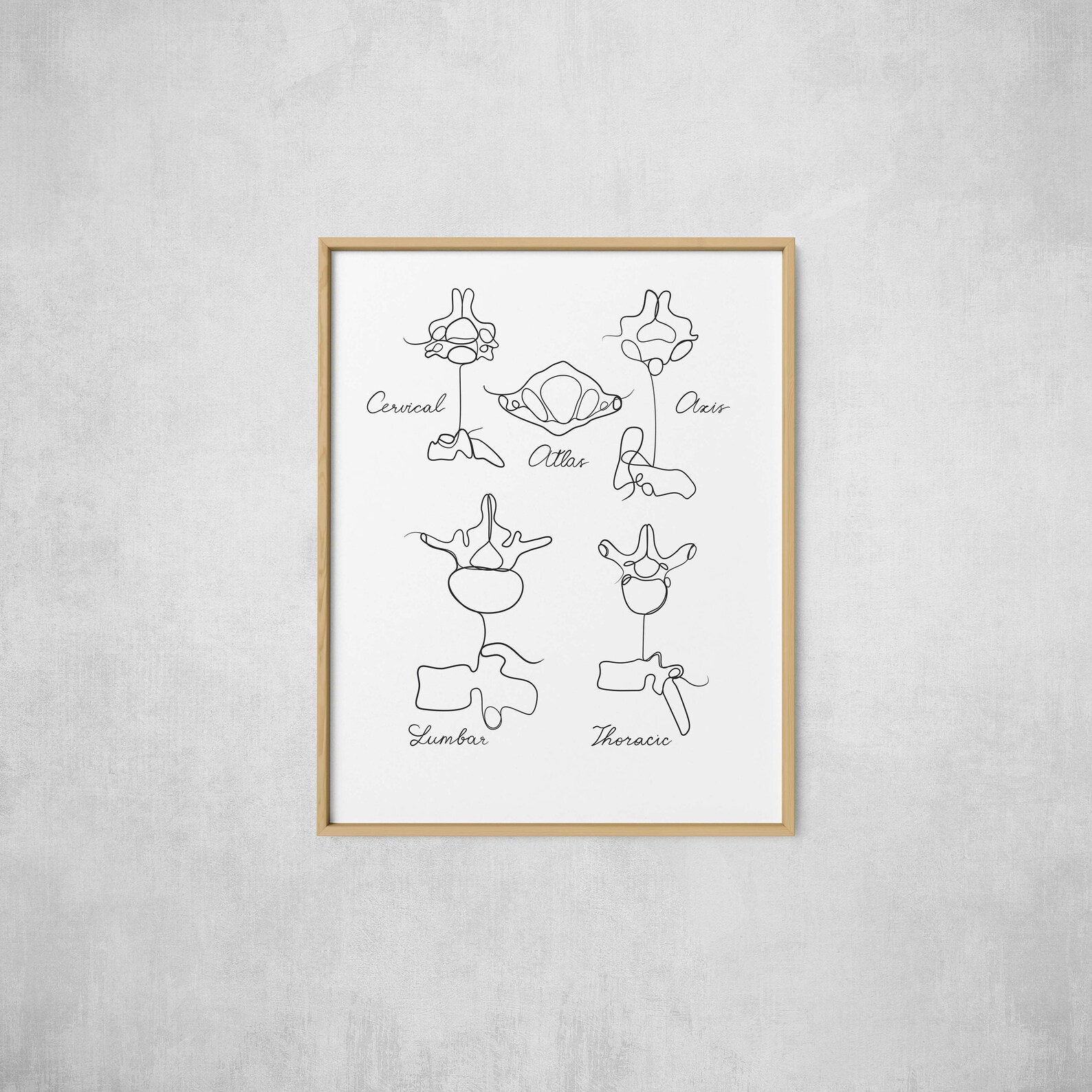 Vertebrae One Line Art Vertebrae Print Lumber Cervical - Etsy