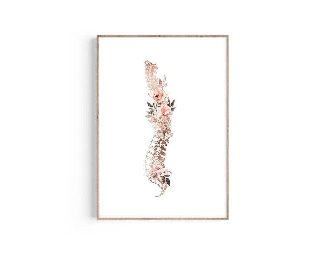 Spine Anatomy Poster, Human Spine Print, Chiropractor Gift, Physical ...