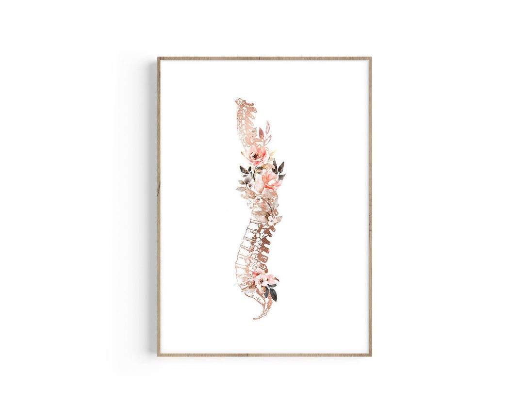 Spine Anatomy Poster Human Spine Print Chiropractor Gift - Etsy