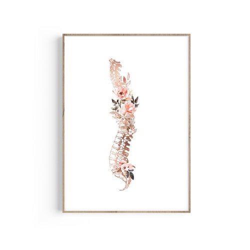 Spine Anatomy Poster Human Spine Print Chiropractor Gift - Etsy