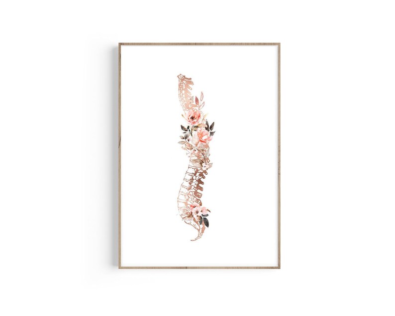 Spine Anatomy Poster Human Spine Print Chiropractor Gift - Etsy