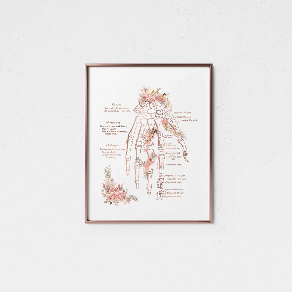Hand Anatomy Art Hand Skeletal Bones Medical Poster Hand - Etsy