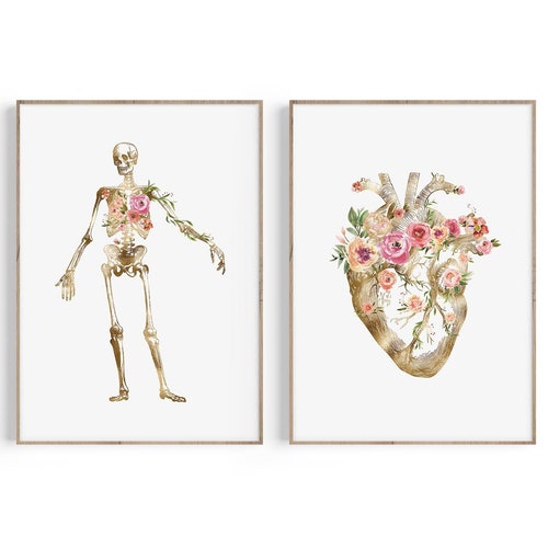 4 Skeletal Anatomy Art Floral Medical Decor Anatomical - Etsy