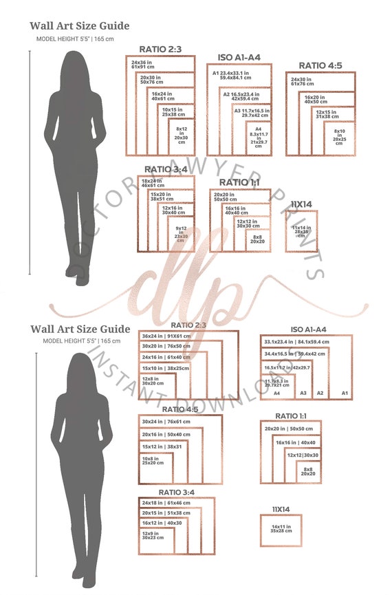 Anatomía Del Corazón Canino