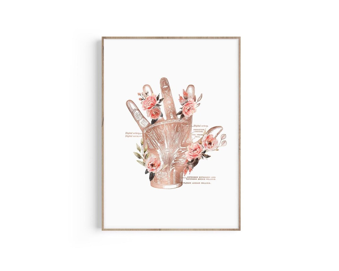 Hand Anatomy Art, Hand Muscles Bones, Medical Poster, Hand Print ...