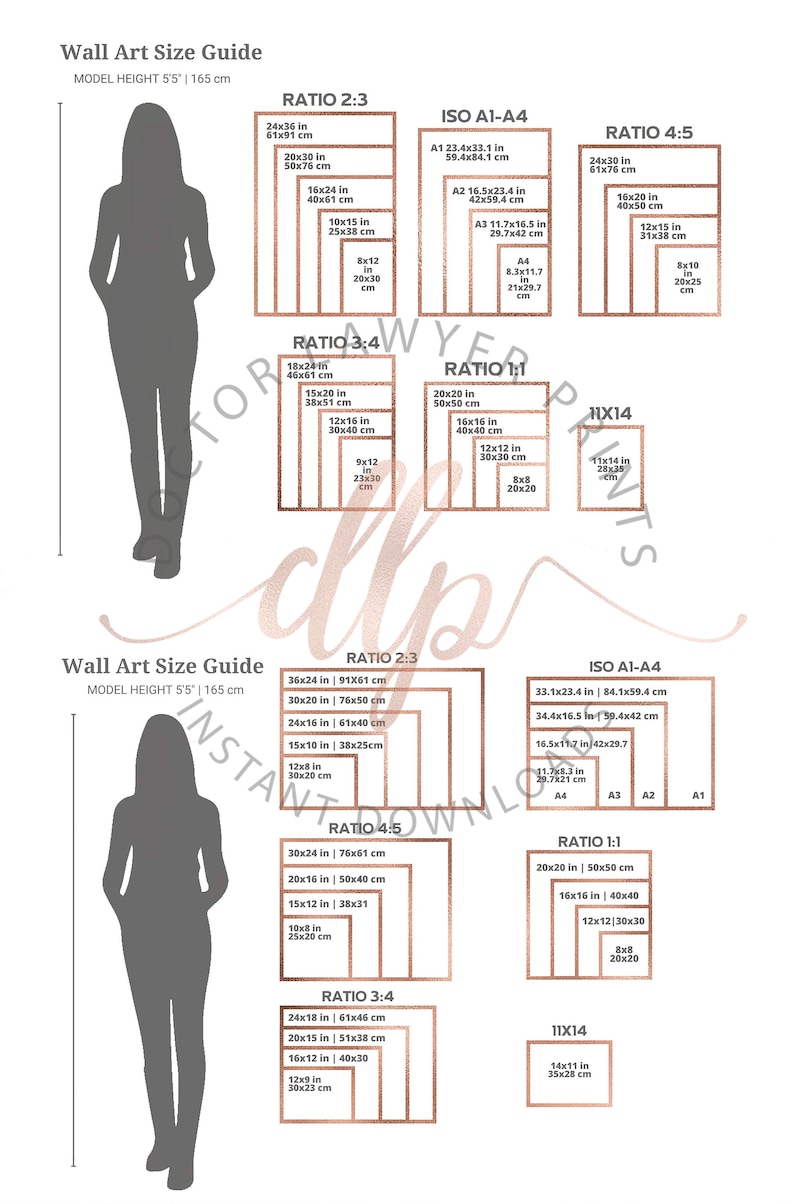 Vagina Anatomy Print Female Reproductive System Vagina Art - Etsy Canada