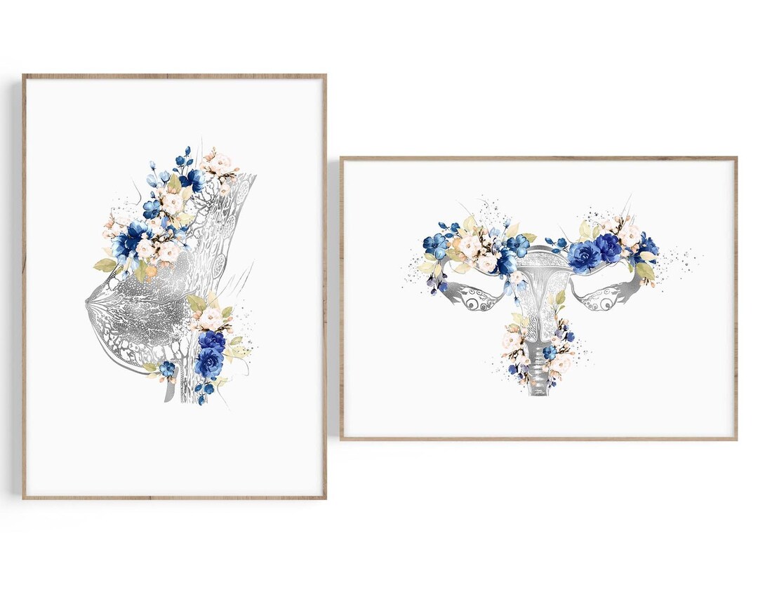 OBGYN Office Decor Breast Anatomy Art Mammary Gland Print - Etsy