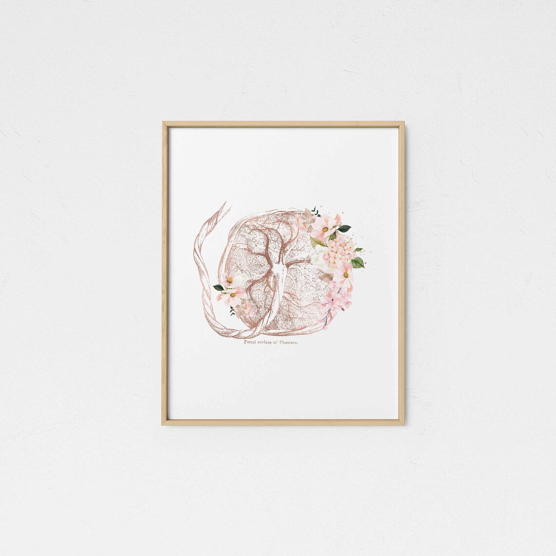 Placenta Fetus Pregnancy Art Womb Art Print Baby Art - Etsy