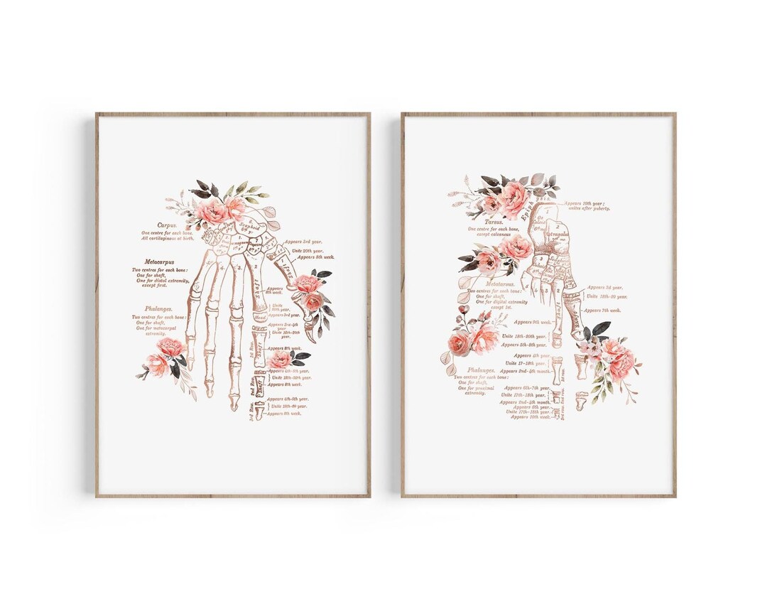 Hand Anatomy Art, Hand Skeletal Bones, Medical Poster, Hand Print ...