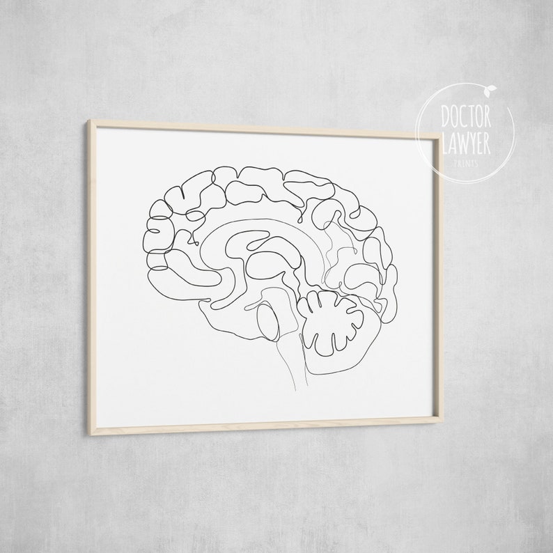 Brain One Line Art Print Psychology Art Brain Anatomy Art - Etsy