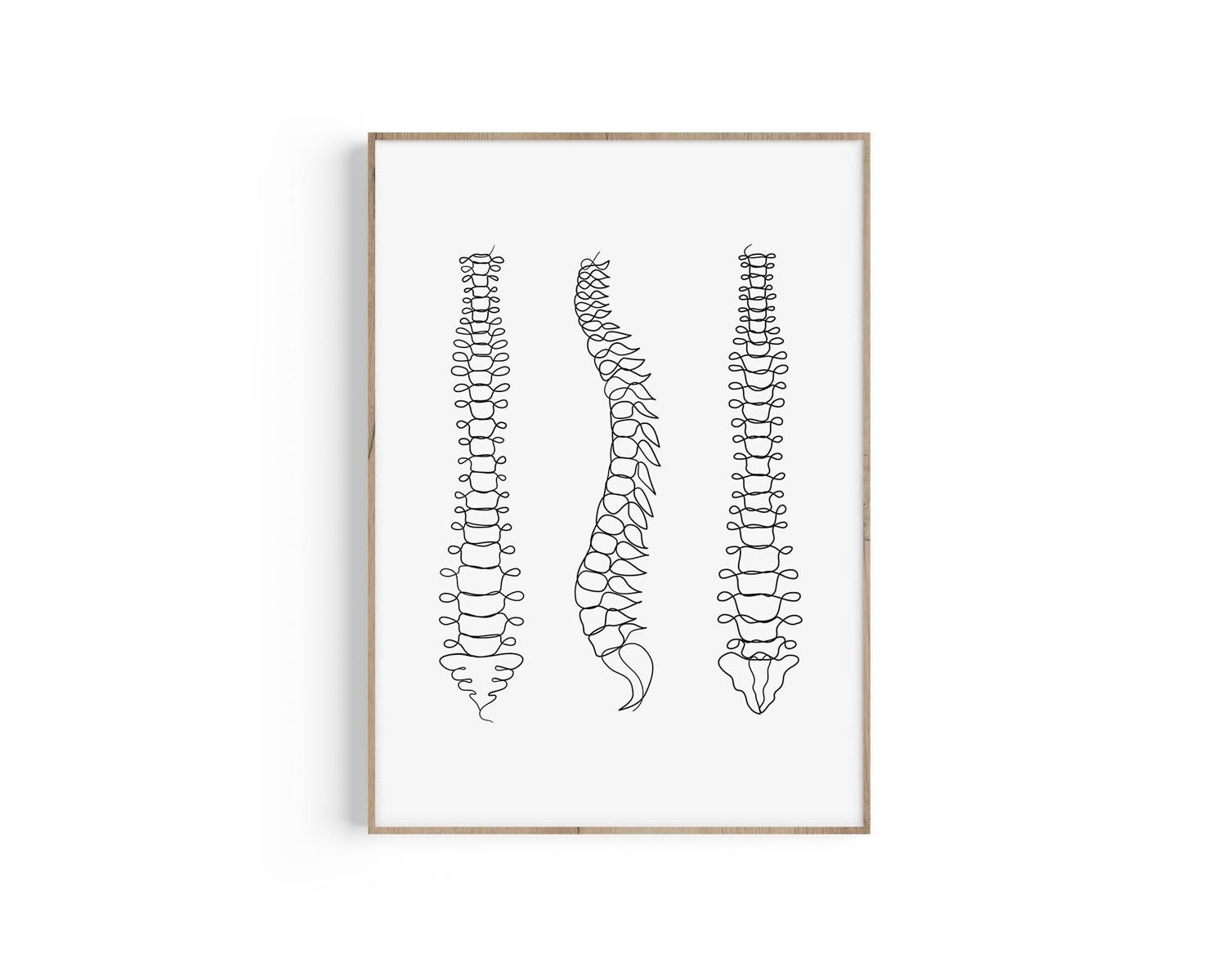 Spine One Line Art Human Spine Print Chiropractor Gift - Etsy