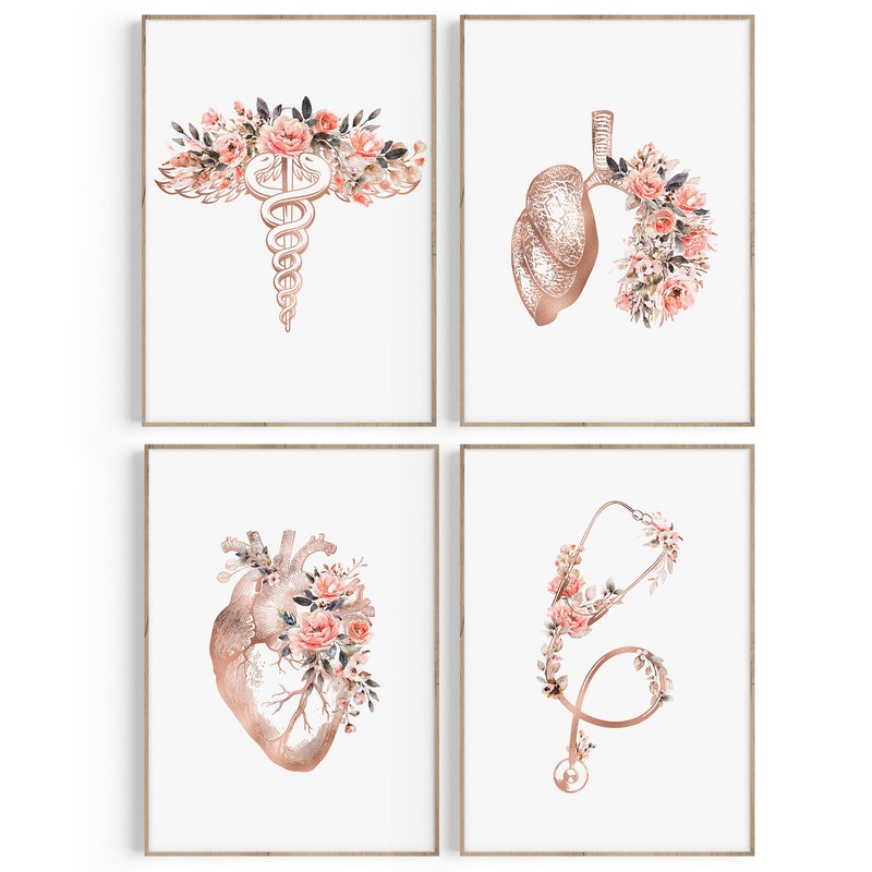 Medical Art - Etsy