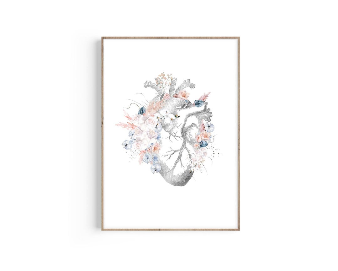 Heart Anatomy Print, Heart Anatomy Poster, Anatomical Heart Art ...