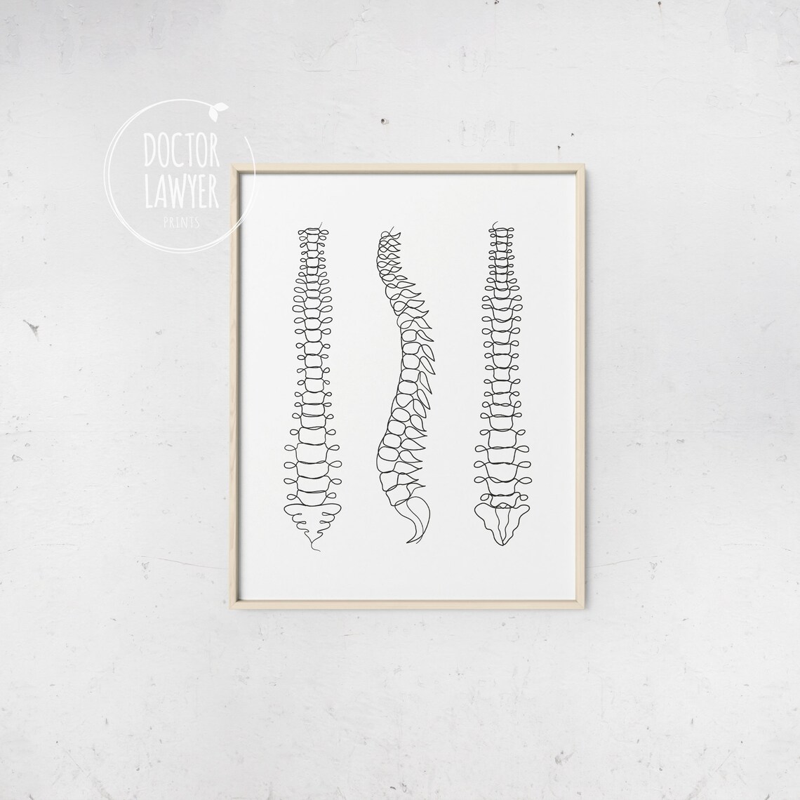 Spine One Line Art Human Spine Print Chiropractor Gift | Etsy