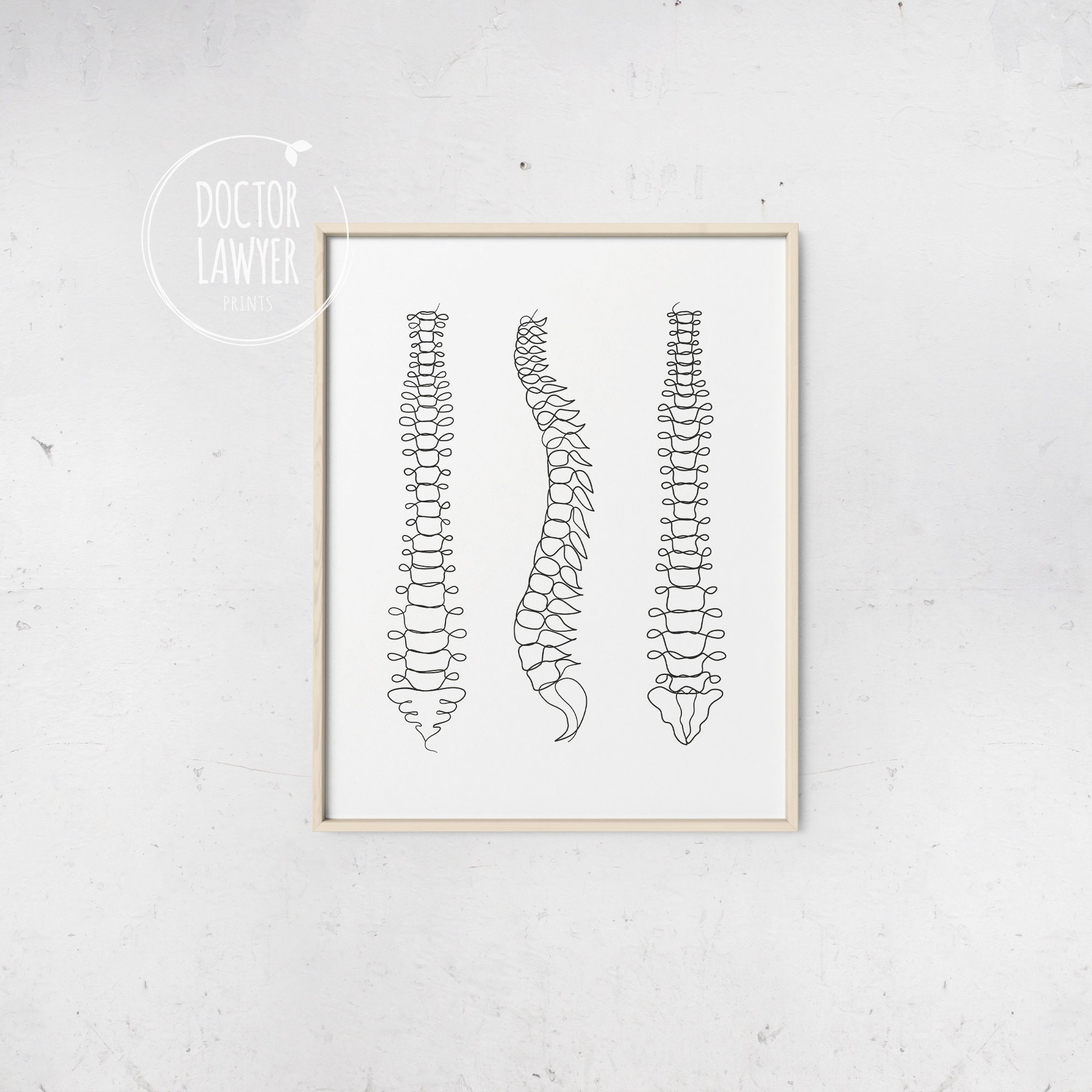 Spine One Line Art Human Spine Print Chiropractor Gift | Etsy