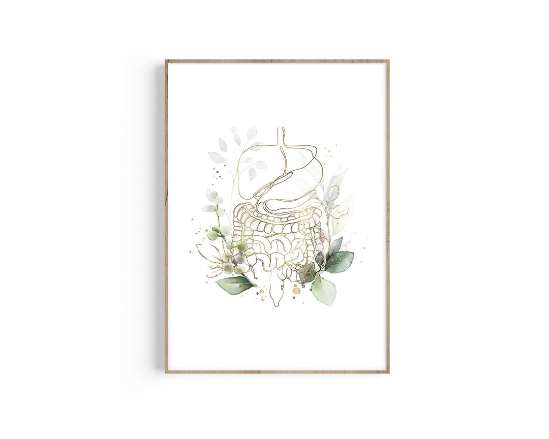 Digestive System Anatomy, Stomach Anatomy Art, Gastroenterologist Gift ...