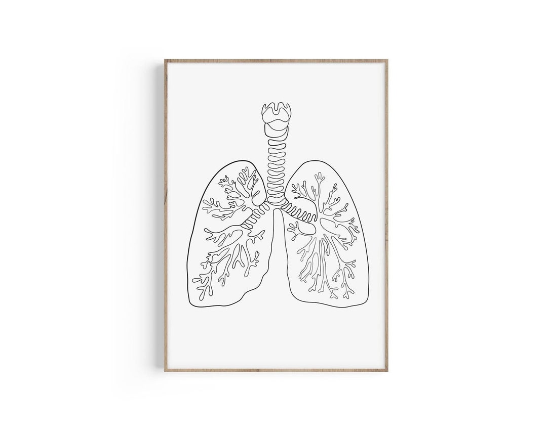 Lungs One Line Art, Human Anatomy Art Print, Respiratory System ...