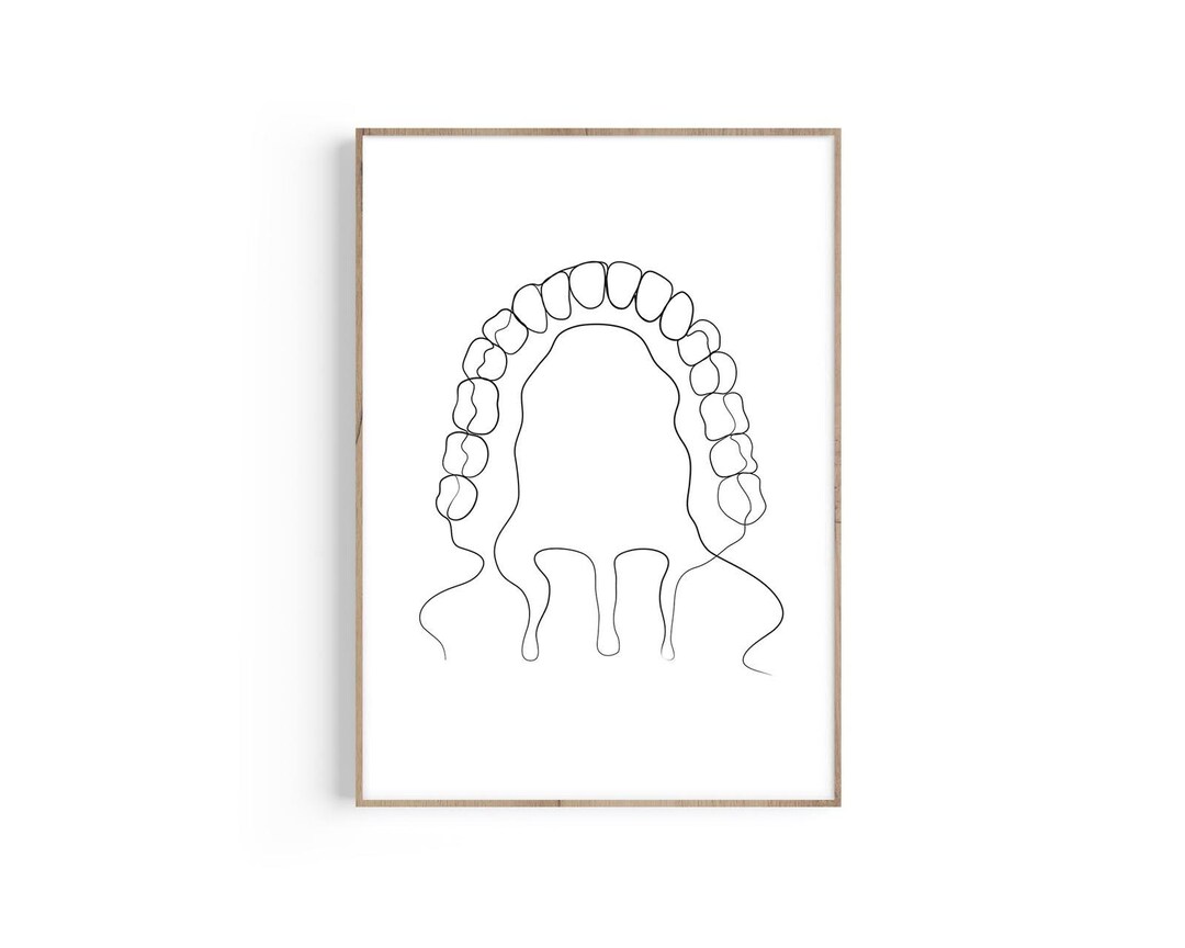 Upper Jaw Anatomy One Line Art Oral Anatomy Dental Clinic - Etsy