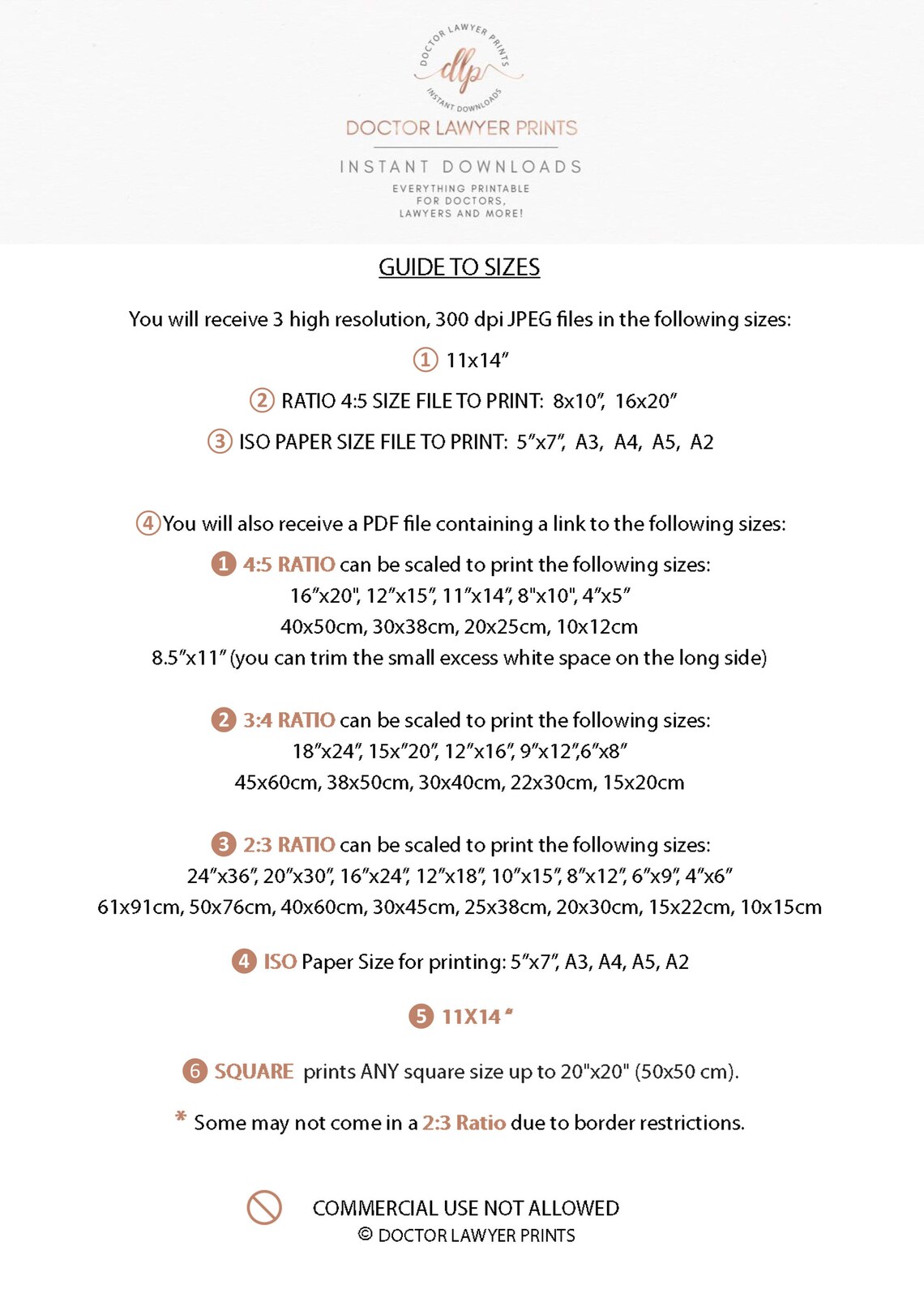 Spine Anatomy Poster Human Spine Print Chiropractor Gift - Etsy