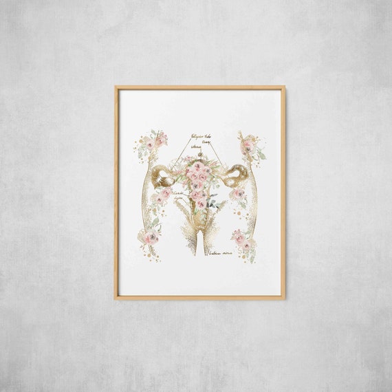 Uterus Anatomy Print Female Reproductive System Uterus Art | Etsy