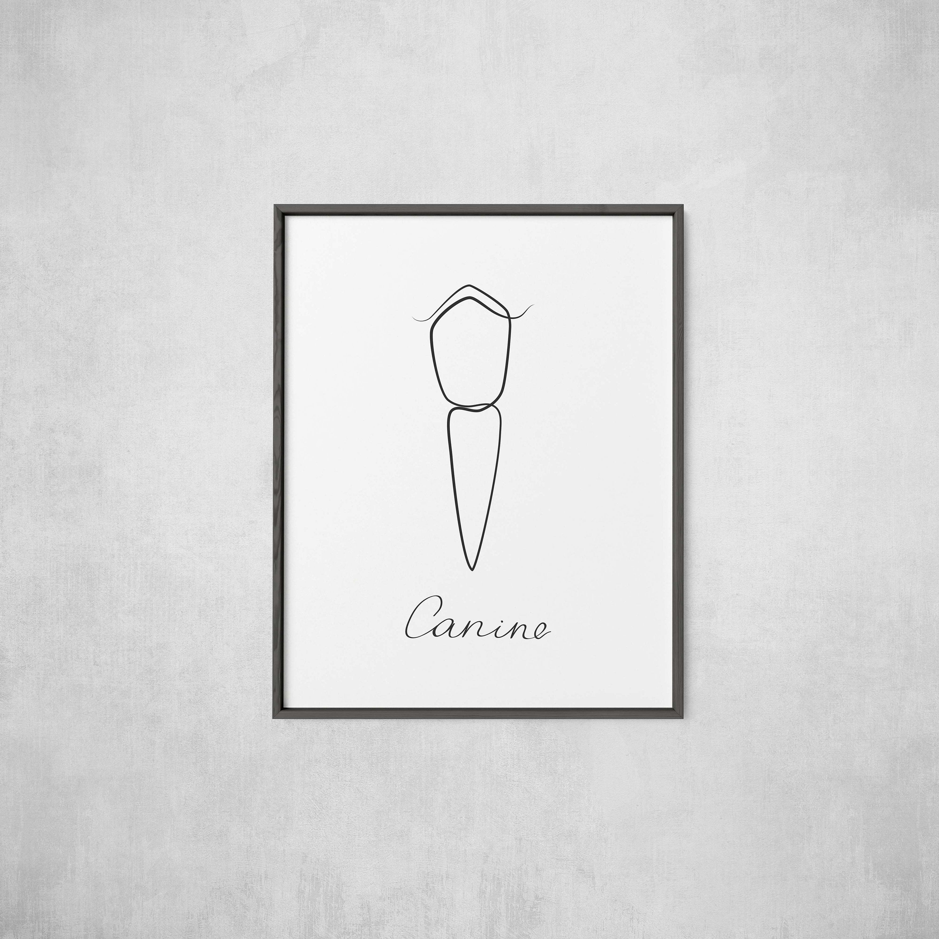 Canine Tooth One Line Art Dentist Gift Dentist Anatomy Art - Etsy