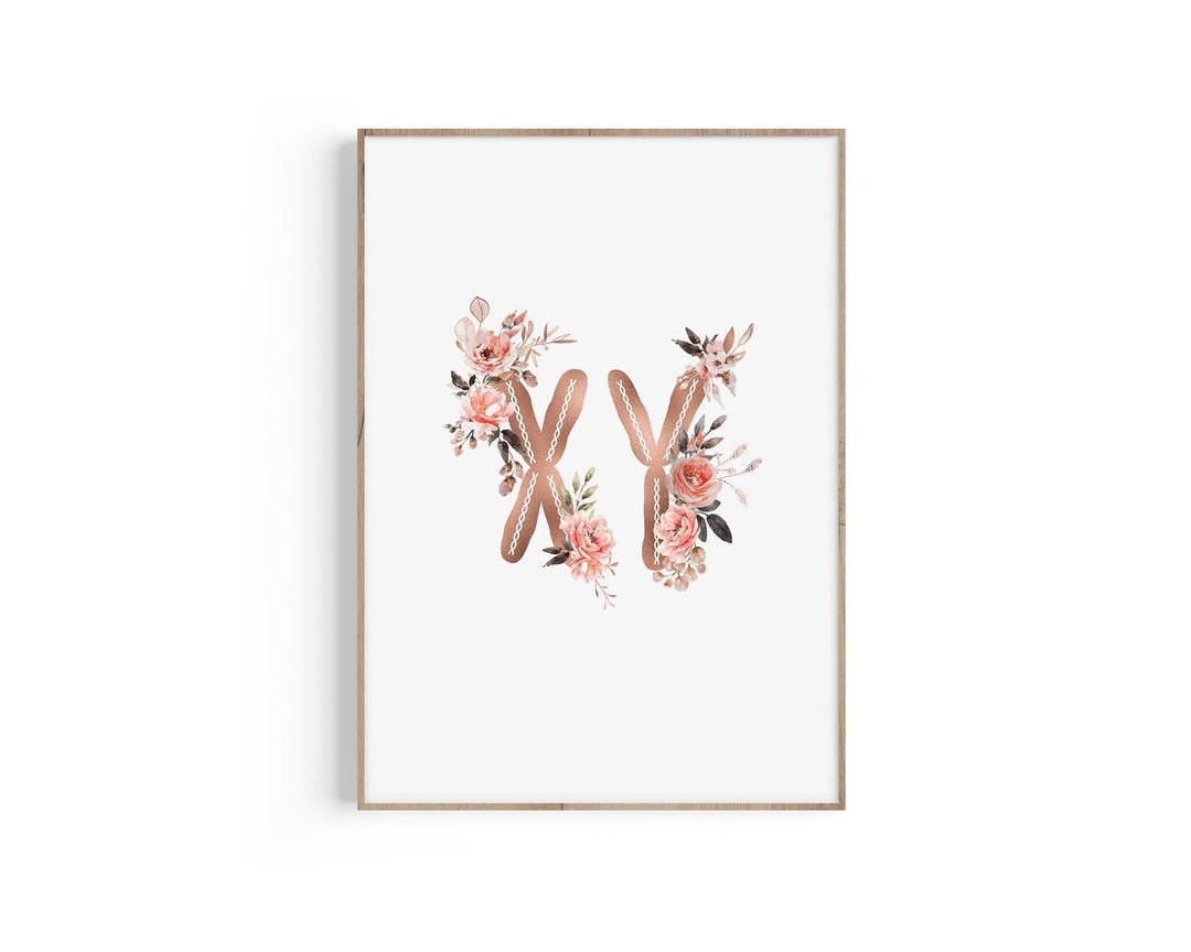 Male Chromosome Art Genetics Print Medical Art Print Boy XY - Etsy
