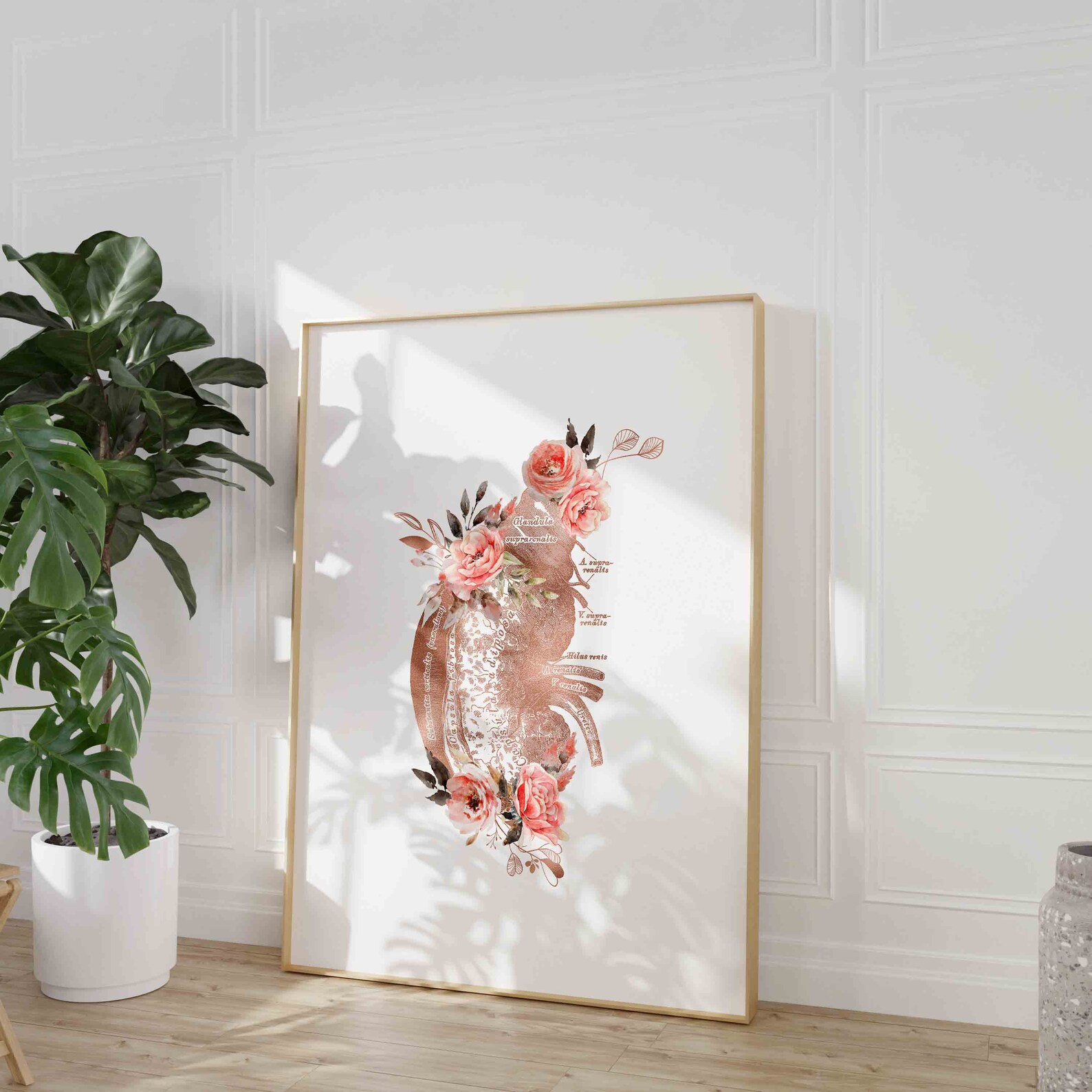 Kidneys Anatomy Art Urologist Print Nephrology Art Urinary - Etsy