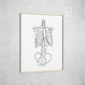 Rib Cage One Line Art Thorax Skeletal Print Rib Cage Print - Etsy