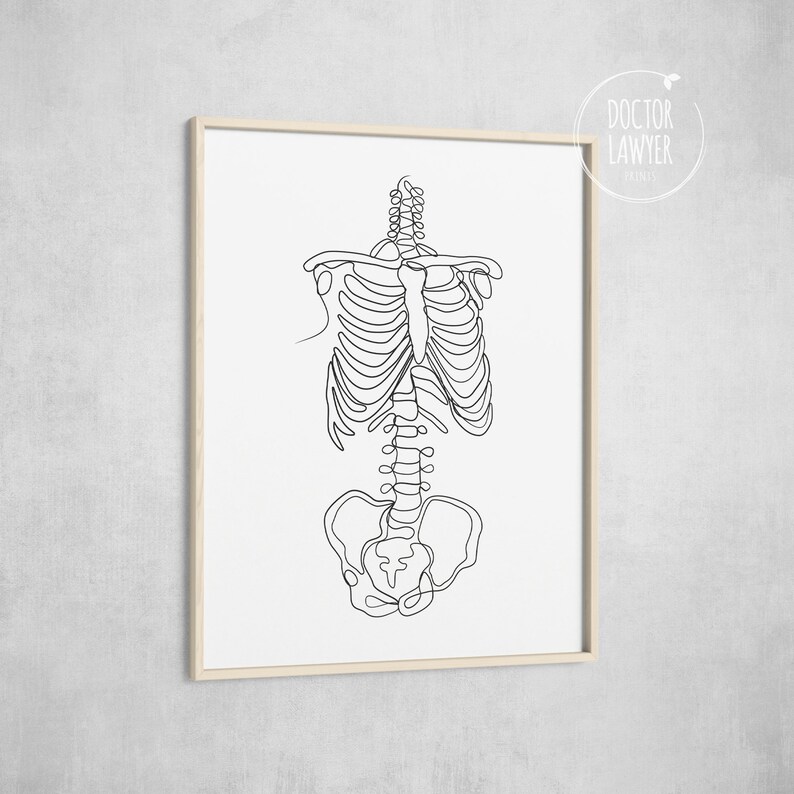 Rib Cage One Line Art Thorax Skeletal Print Rib Cage Print - Etsy