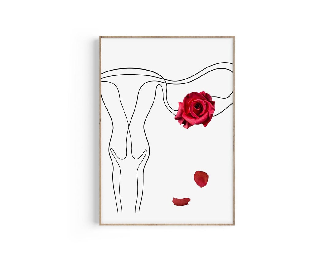 Uterus Line Rose Anatomy Print Female Reproductive System - Etsy