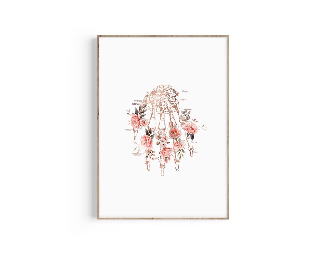 Hand Anatomy Art Hand Skeletal Bones Medical Poster Hand - Etsy