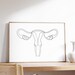 Uterus One Line Anatomy Print, Female Reproductive System, Uterus Art ...