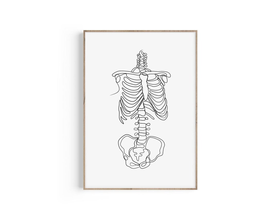 Rib Cage One Line Art, Thorax Skeletal Print, Rib Cage Print, Skeleton ...