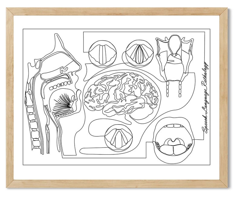 SLP Poster One Line Anatomy Art Larynx Print Speech Language | Etsy