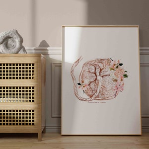 Placenta Fetus Pregnancy Art, Womb Art Print, Baby Art, Gynecology ...