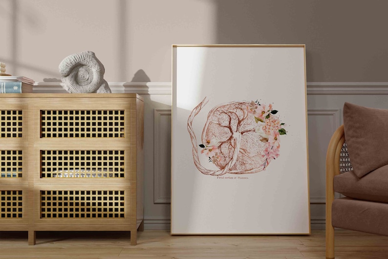 Floral Placenta Art Print, Midwife OBGYN Doula Gift (digital Download ...