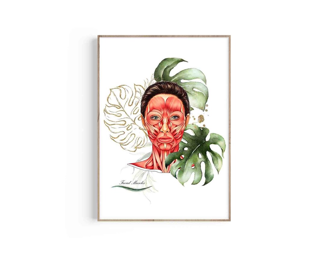 Facial Muscle Anatomy, Muscles of the Face and Neck, Spa Esthetician ...