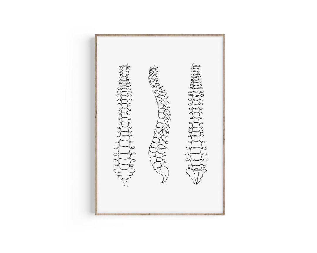 Spine One Line Art, Human Spine Print, Chiropractor Gift, Physical ...