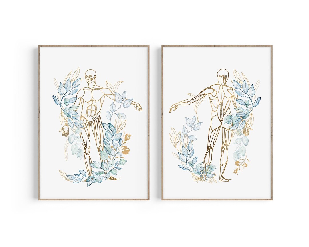 Anatomical Muscular System, Medical Art Prints, Anatomy Floral Art ...