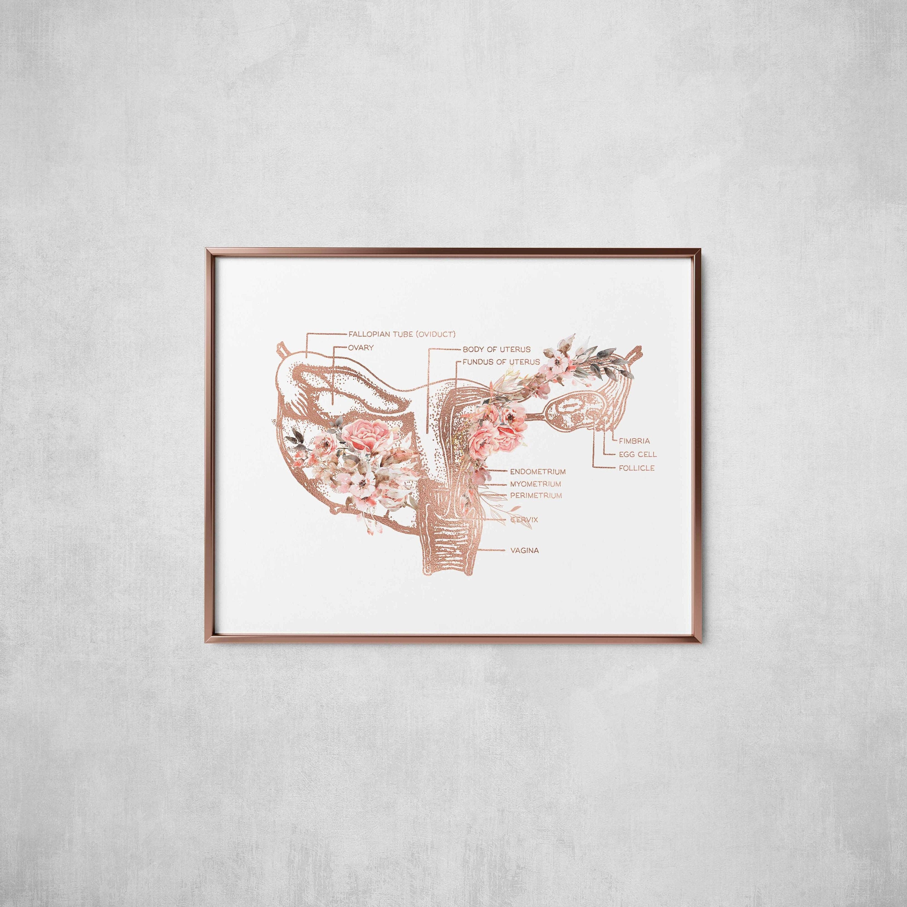 Uterus Anatomy Print Female Reproductive System Uterus Art - Etsy