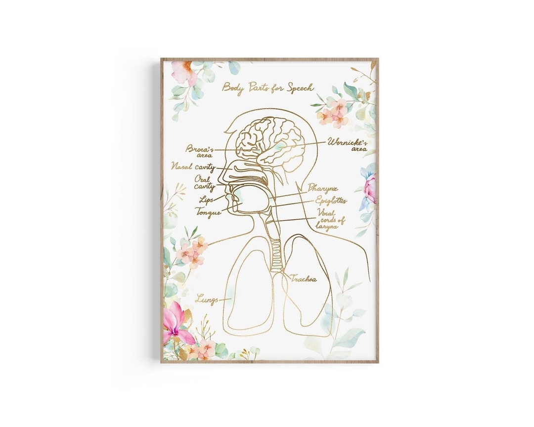 Speech Anatomy One Line Art, Speech Language Pathologist Gift, SLP ...