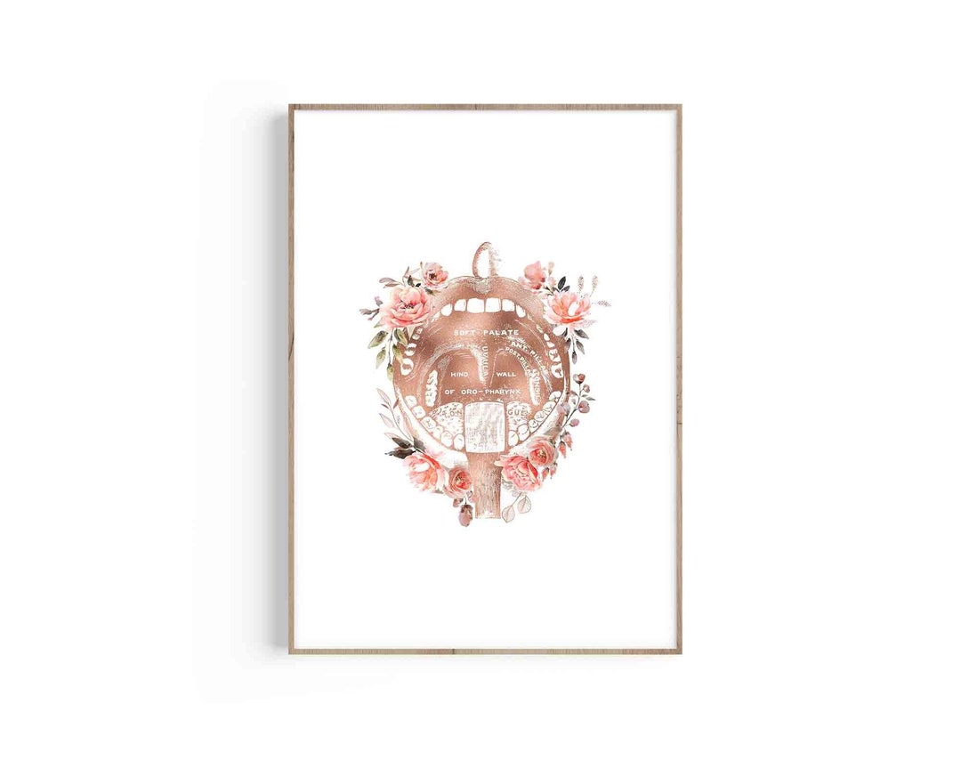 Human Mouth Anatomy, Tongue Anatomy, Oral Cavity Art, Tonsils Art Print ...