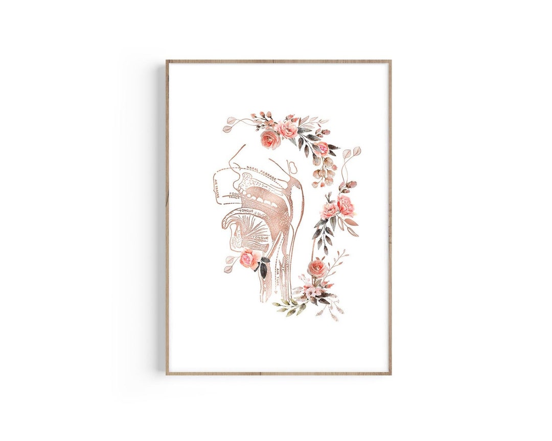 Head Anatomy, Throat, Mouth, Nose, Tongue, ENT Art, SLP Gift, Breathing ...