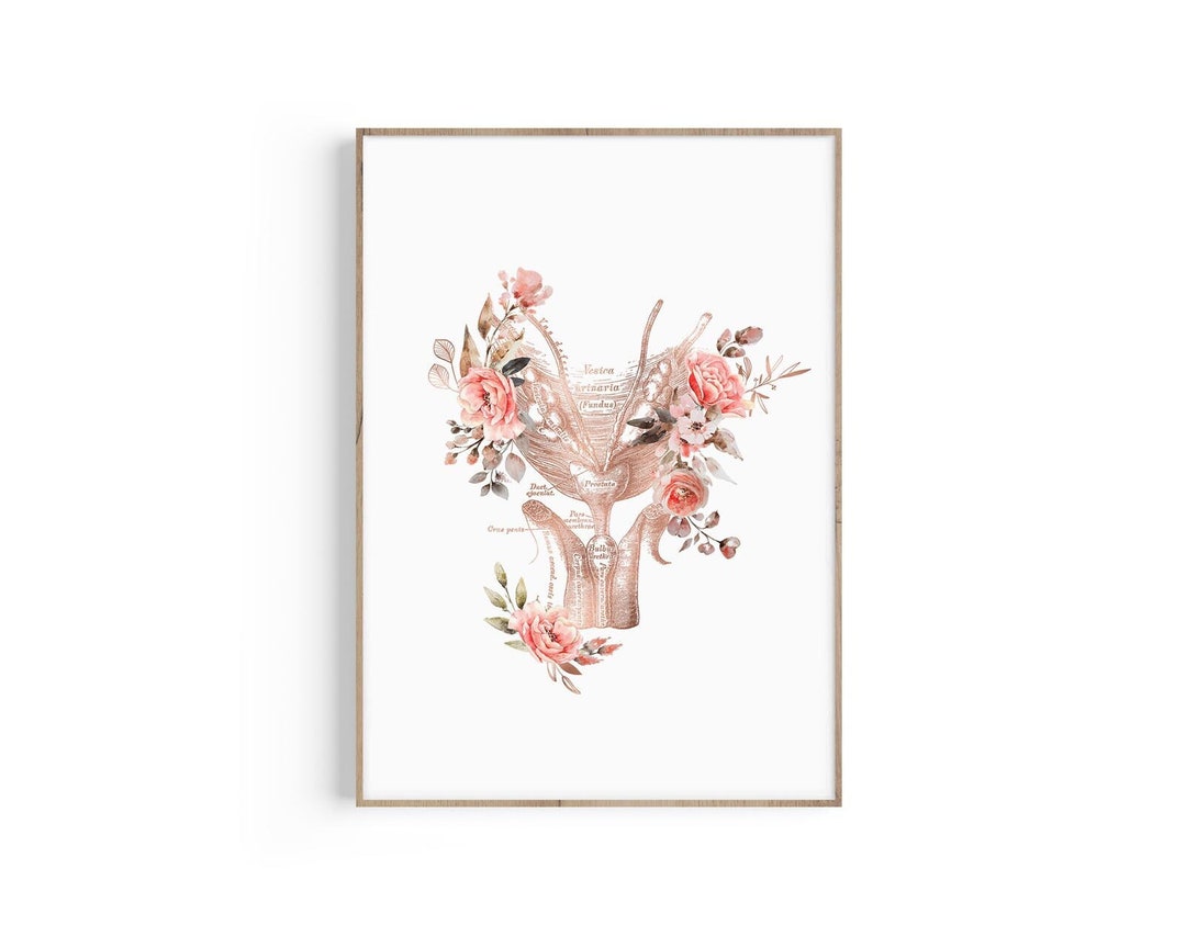 Bladder Print Art, Urethra Anatomy, Urologist Gift, Doctor Gift ...