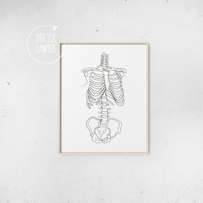 Rib Cage One Line Art Thorax Skeletal Print Rib Cage Print - Etsy