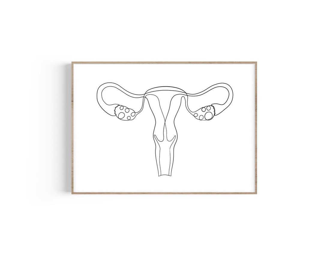 Uterus One Line Anatomy Print Female Reproductive System - Etsy