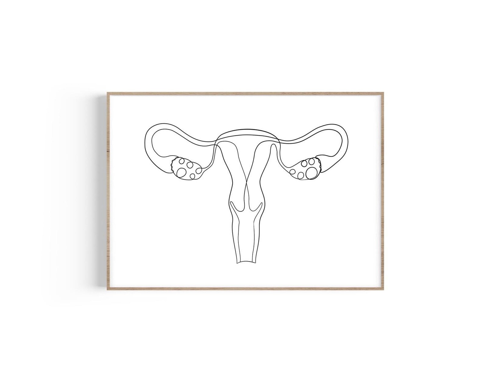 Uterus One Line Anatomy Print Female Reproductive System - Etsy