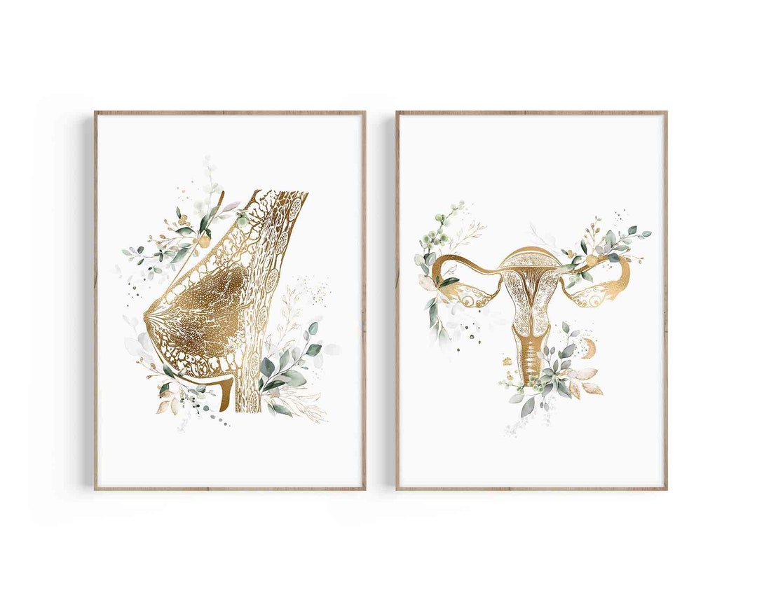 OBGYN Office Decor, Breast Anatomy Art, Mammary Gland Print, Uterus ...