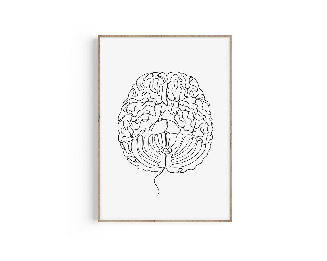Brain One Line Art Print Psychology Art Brain Anatomy Art - Etsy
