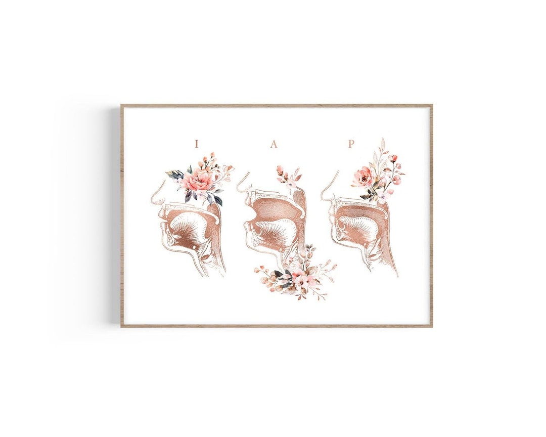 Floral Speech Anatomy Art Print: SLP/ENT Office Decor (digital Download ...